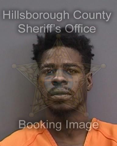JAMES WESLEY IV MCCAULEY of TAMPA booked for