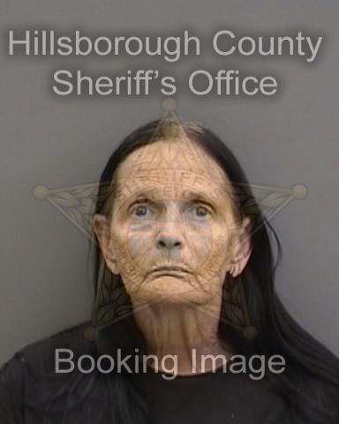 KATHERINE LYNN BOBO of BRANDON booked for