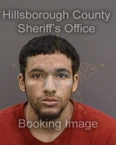 KEVIN ALBERTO ORTIZ ALVAREZ of TAMPA booked for