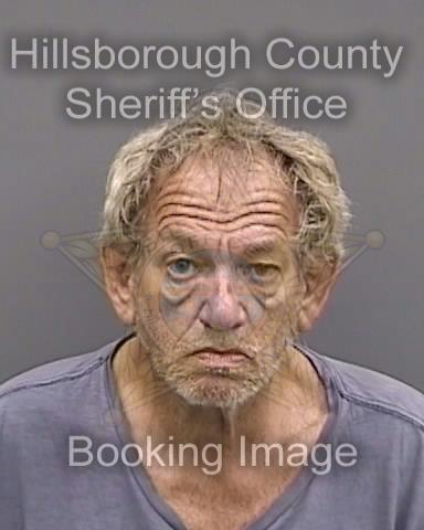 PHILLIP HAROLD MARTIN of BRANDON booked for