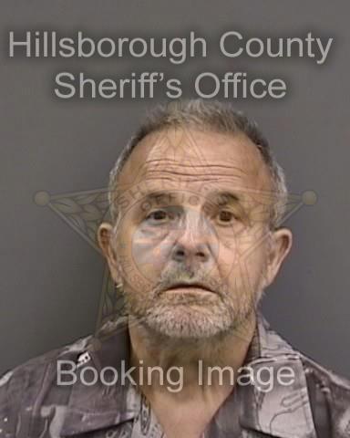 RICHARD ALLEN SR HOWARD of SEFFNER booked for