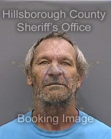 STEVEN GREGG WATTS of RIVERVIEW booked for
