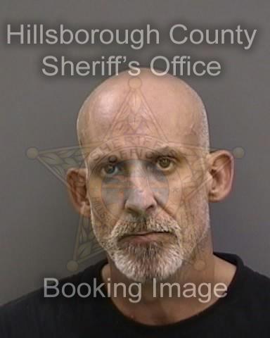 THOMAS MATTHEW SUAREZ of TAMPA booked for