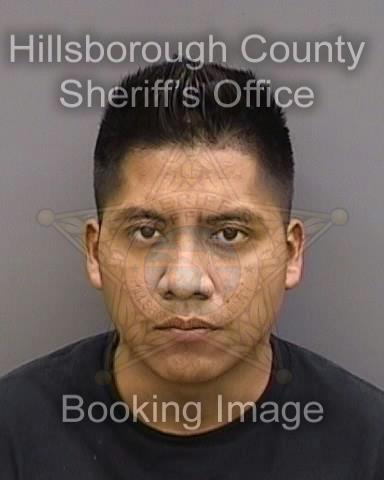 UBER DE LA CRUZ LOPEZ of TAMPA booked for