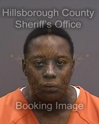 APRIL DANIELLE HOMER of BRANDON booked for