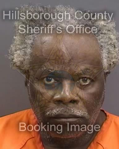 EARNEST JR KNIGHT of RIVERVIEW booked for