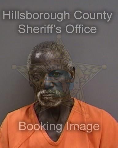 EVERETT LEE JOHNSON of TAMPA booked for
