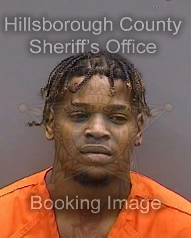 TYRIK MARQUIS JONES of VALRICO booked for