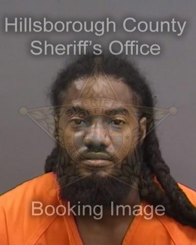 CHARLES H LUCAS of PLANT booked for