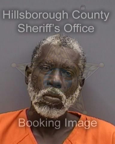 DAVID EARL HARDISON of TAMPA booked for