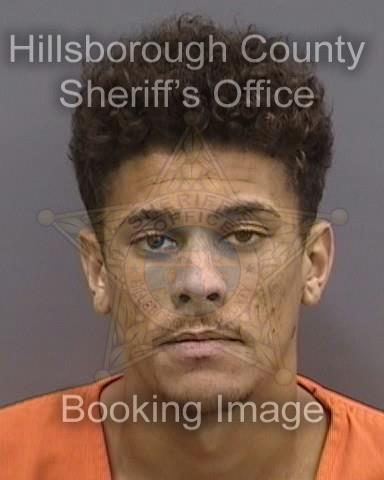 ELIJAH SHAOLIN RHEA of TAMPA booked for