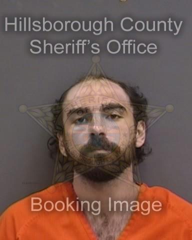 STEVEN RUSSELL SULLIVAN of TAMPA booked for