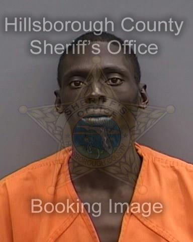TRAVIS ROCKEL MACK of TAMPA booked for