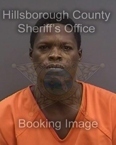 ANDRE GERALD CHAPMAN of TAMPA booked for