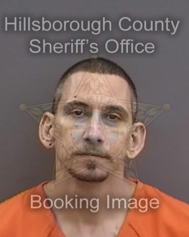 BRYAN ANTHONY HAYES of TAMPA booked for