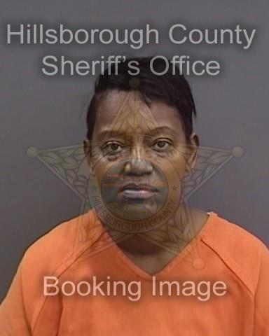 JANICE MICHELLE FRAZIER of TAMPA booked for
