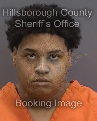 JOMEL I GONZALEZBERRIOS of TAMPA booked for