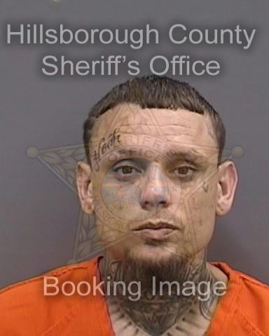 JOSHUA VICTOR BENJAMIN of TAMPA booked for