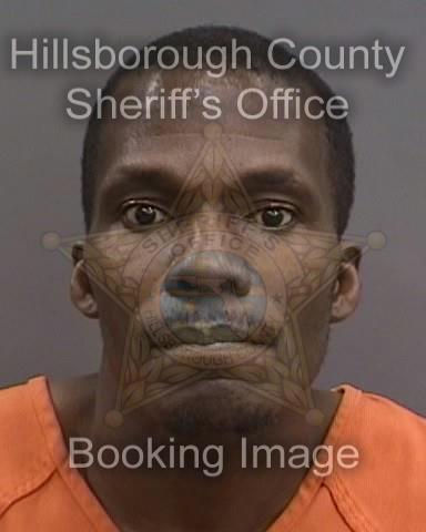 MICHAEL BRANDON JONES of GIBSONTON booked for