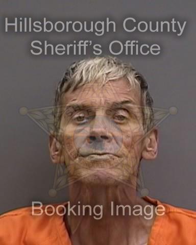 RONAL JAMES AULETTA of TAMPA booked for