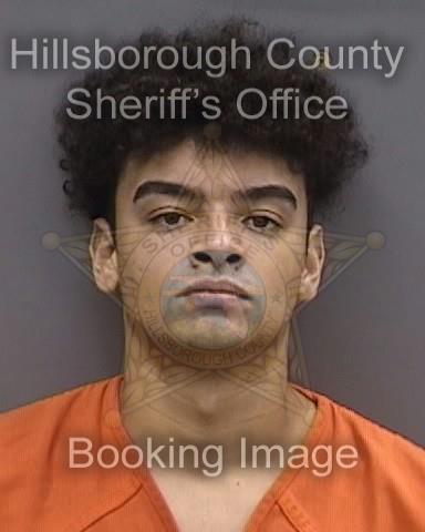 VINCENT LAWRENCE VIGIL PEREZ of PLANT booked for