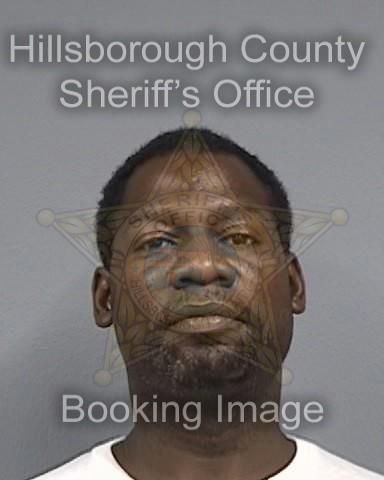 ELLIOT ALEXANDER JR LAWSON of TAMPA booked for