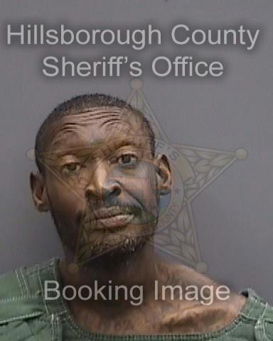 JASON ALAN POWELL of TAMPA booked for