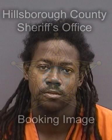 KERON CEDRIC NELSON of TAMPA booked for