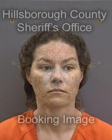 MELISSA ANN STEINER of RIVERVIEW booked for