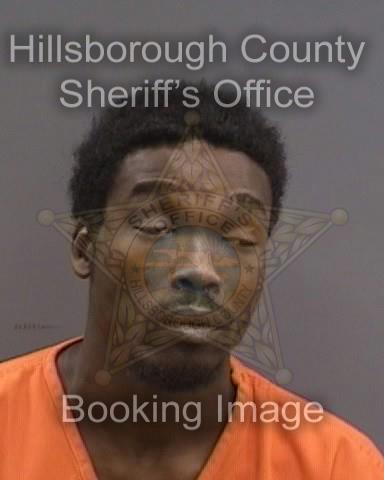 ANTELO SHAVONNE SIMPSON of TAMPA booked for