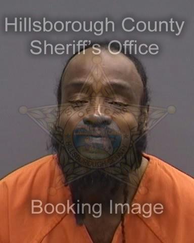 FRANKLIN DELANO WILLIAMS of TAMPA booked for