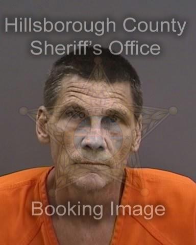 JAMES MICHAEL JR TERRY of SEFFNER booked for