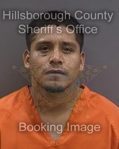 NICOLAS MONTANEZ of PLANT booked for