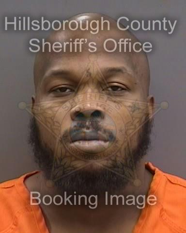RICHARD D JAMES of TAMPA booked for