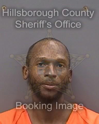 TAURUS EMMANUEL ALLEN of TAMPA booked for