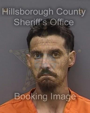 DILLION MICHAEL DENTON of RUSKIN booked for