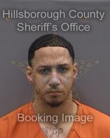 JUSTIN LAWRENCE CECCHINI of TAMPA booked for