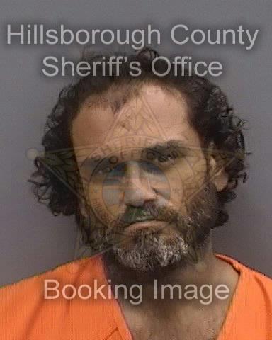JONATHAN SANTOS-ALICEA of TAMPA booked for