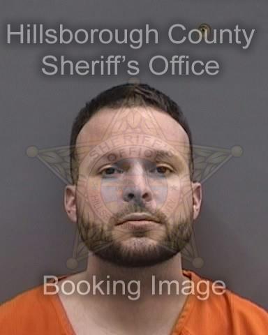 BRANDON PETER HAYNES of TAMPA booked for