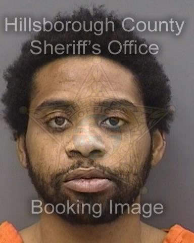 CHRISTOPHER LEWIS MACK of TAMPA booked for