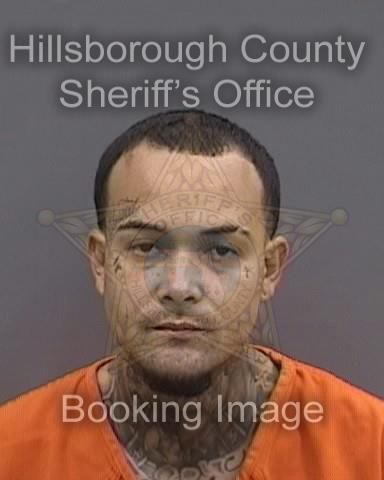 Hillsborough County Who's in Jail - HCSO Arrest Inquiry Search