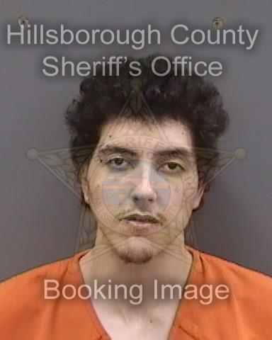 NEKOLAI KARL SEIPLE of VALRICO booked for