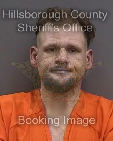 PATRICK MARSHALL WIGGINS of BRANDON booked for