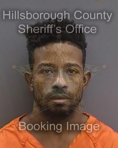 Hillsborough County Who's in Jail - HCSO Arrest Inquiry Search
