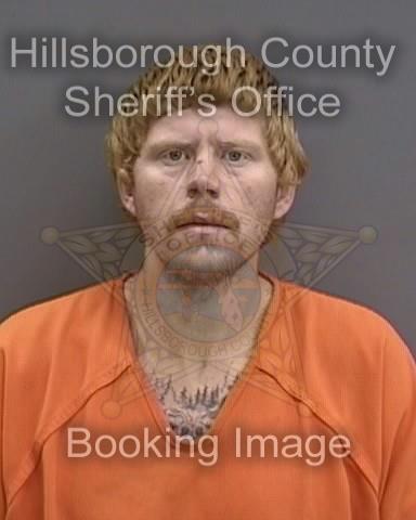 TIMOTHY JAMES GILLAN of RIVERVIEW booked for