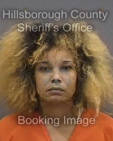 TORREN SHNAYE MCKINNEY of TAMPA booked for