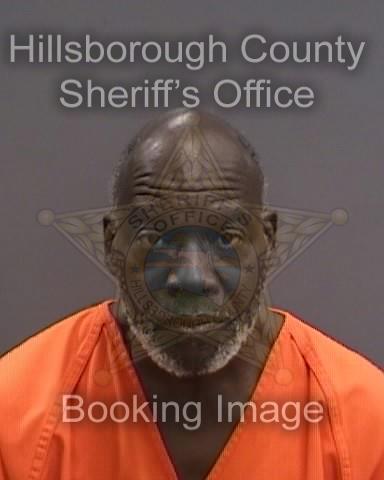 TYRONE EDWARD FLOWERS of SEFFNER booked for