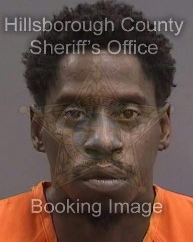 GREGORY LYNN JR REEVES of TAMPA booked for $10,000.00