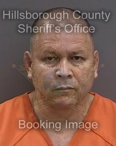 Hillsborough County Who's in Jail - HCSO Arrest Inquiry Search