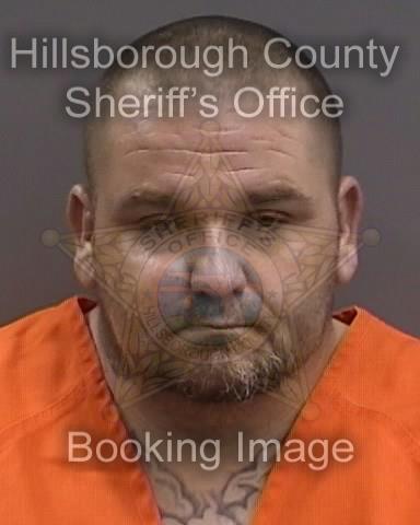TIMOTHY WAYNE WILKERSON of SEFFNER booked for